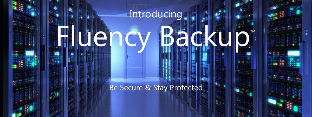 Western Standard | Fluency Translation Software CAT Tool | Omega Sources